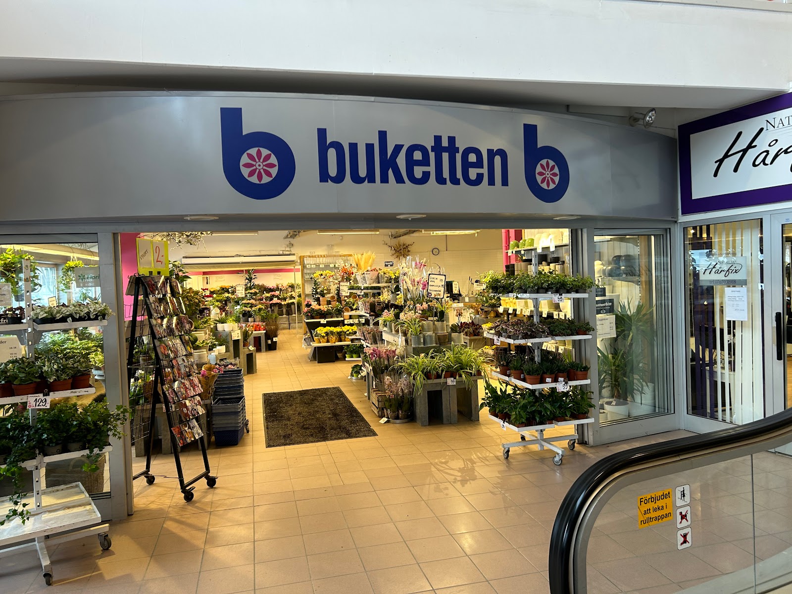 Buketten Umeå Mariedal UMEÅ - Skicka blommor i UMEÅ
